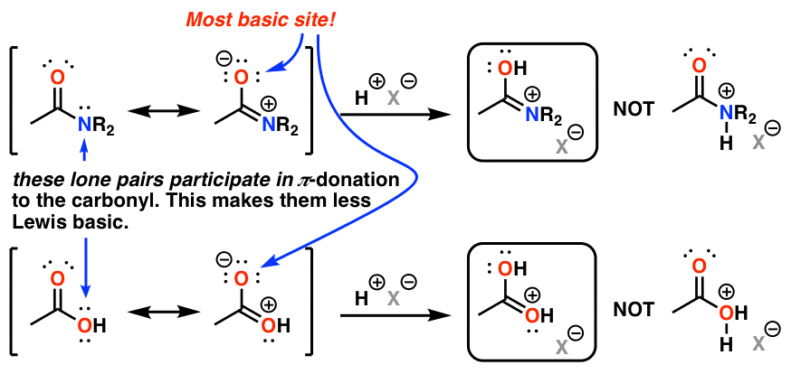 Carbonyl Chemistry: Ten Key Points