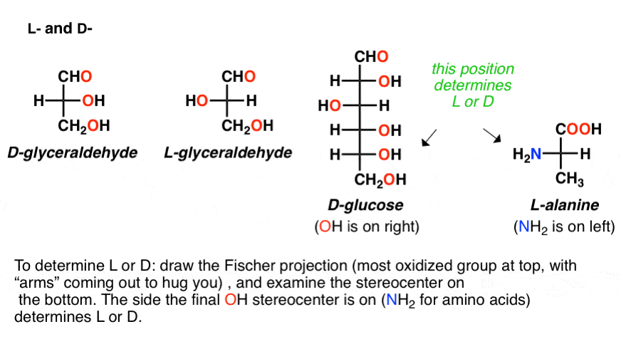 9 Nomenclature Conventions To Know – Master Organic Chemistry
