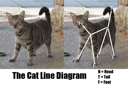 On Cats, Part 2: Cat Line Diagrams – Master Organic Chemistry