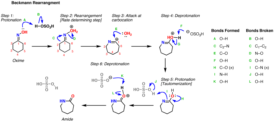 Beckmann Rearrangement – Master Organic Chemistry