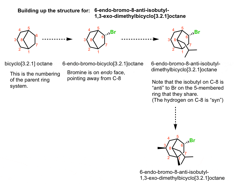 Naming Bridged Bicyclic Compounds – Master Organic Chemistry