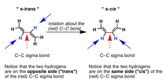 s-cis and s-trans Conformations of Dienes – Master Organic Chemistry