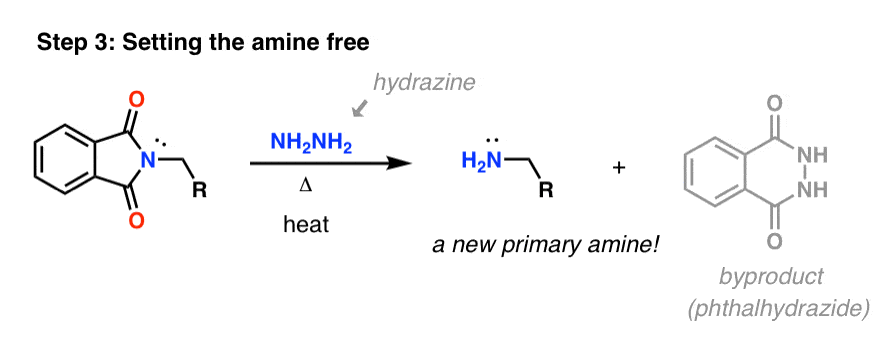 The Gabriel Synthesis – Master Organic Chemistry