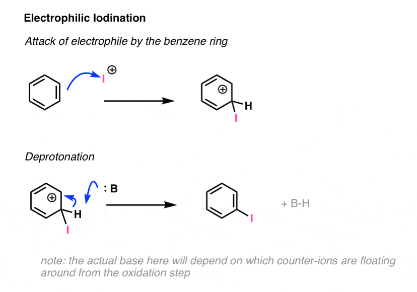 Electrophilic Aromatic Substitutions: Chlorination and Bromination