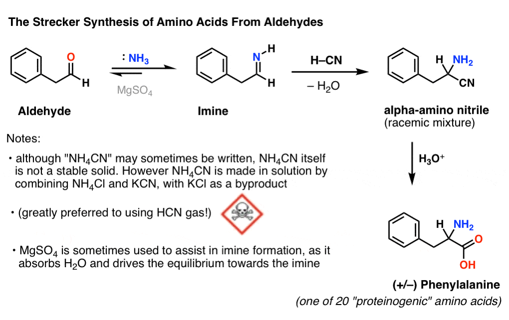 The Strecker Synthesis of Amino Acids – Master Organic Chemistry